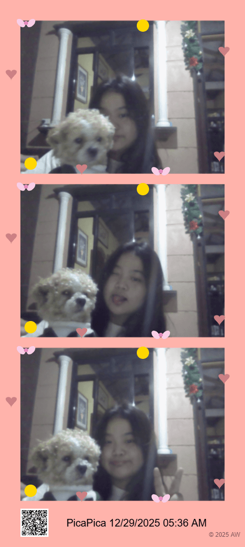 PicaPicaBooth | Free Online Photo Booth At Home | PicaPica