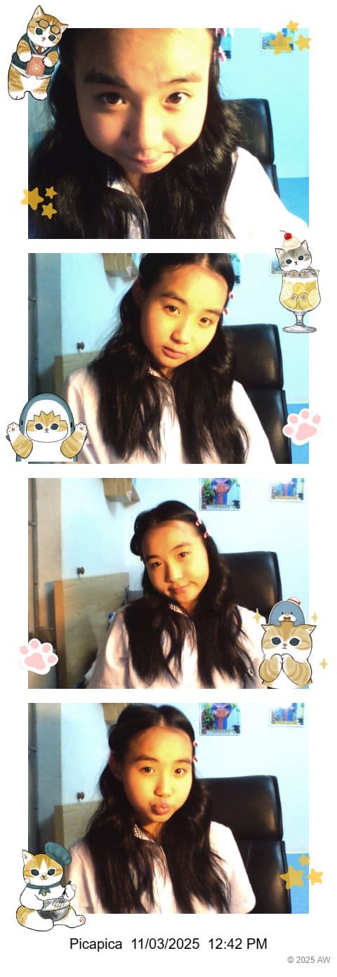 PicaPicaBooth | Free Online Photo Booth At Home | PicaPica